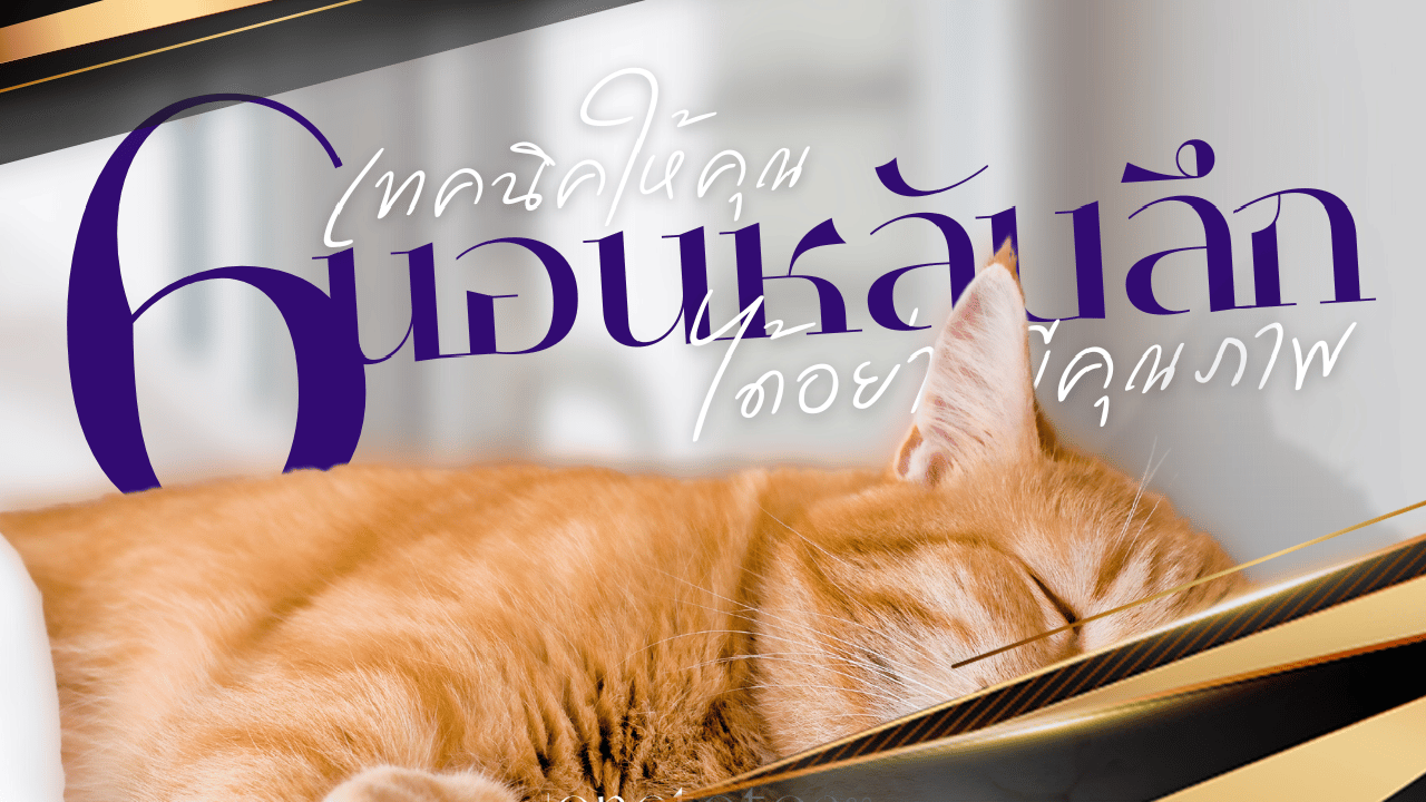 cat888 สล็อต 6 เทคนิค ที่จะช่วยให้คุณหลับลึก ได้ดีมากยิ่งขึ้น - D-UFA